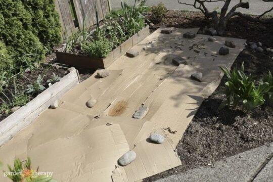 Try These 13 Natural Mulches & Ditch the Dyed Bark and Rubber! - Garden ...