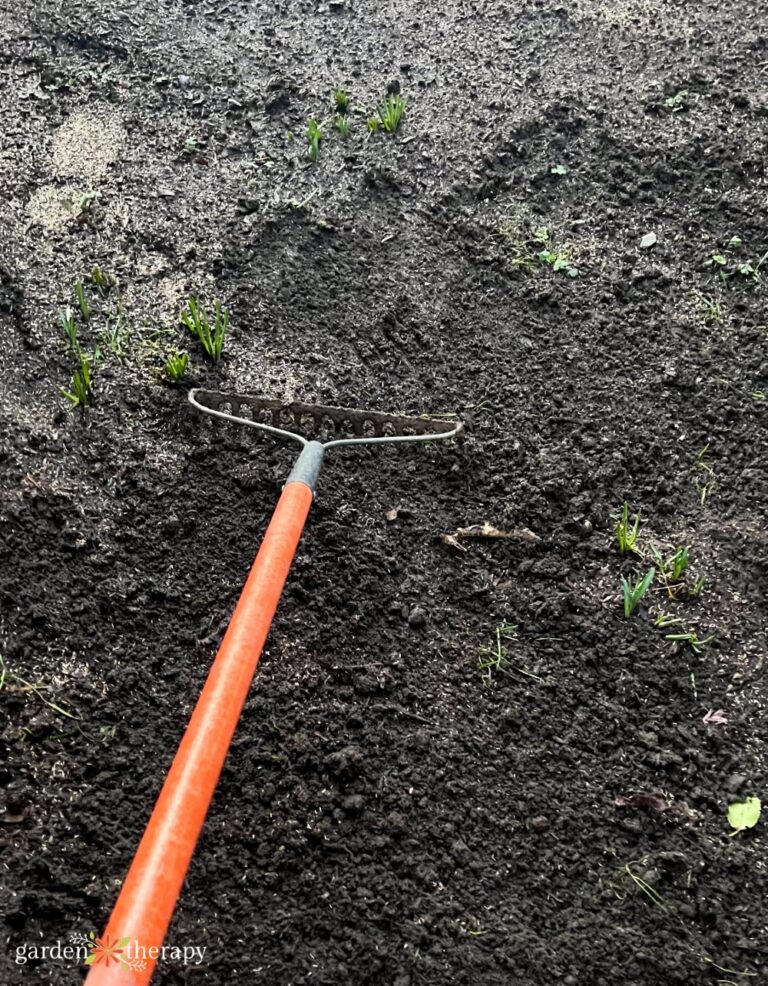 From Lawn to Urban Meadow: My Wildflower Lawn Guide - Garden Therapy