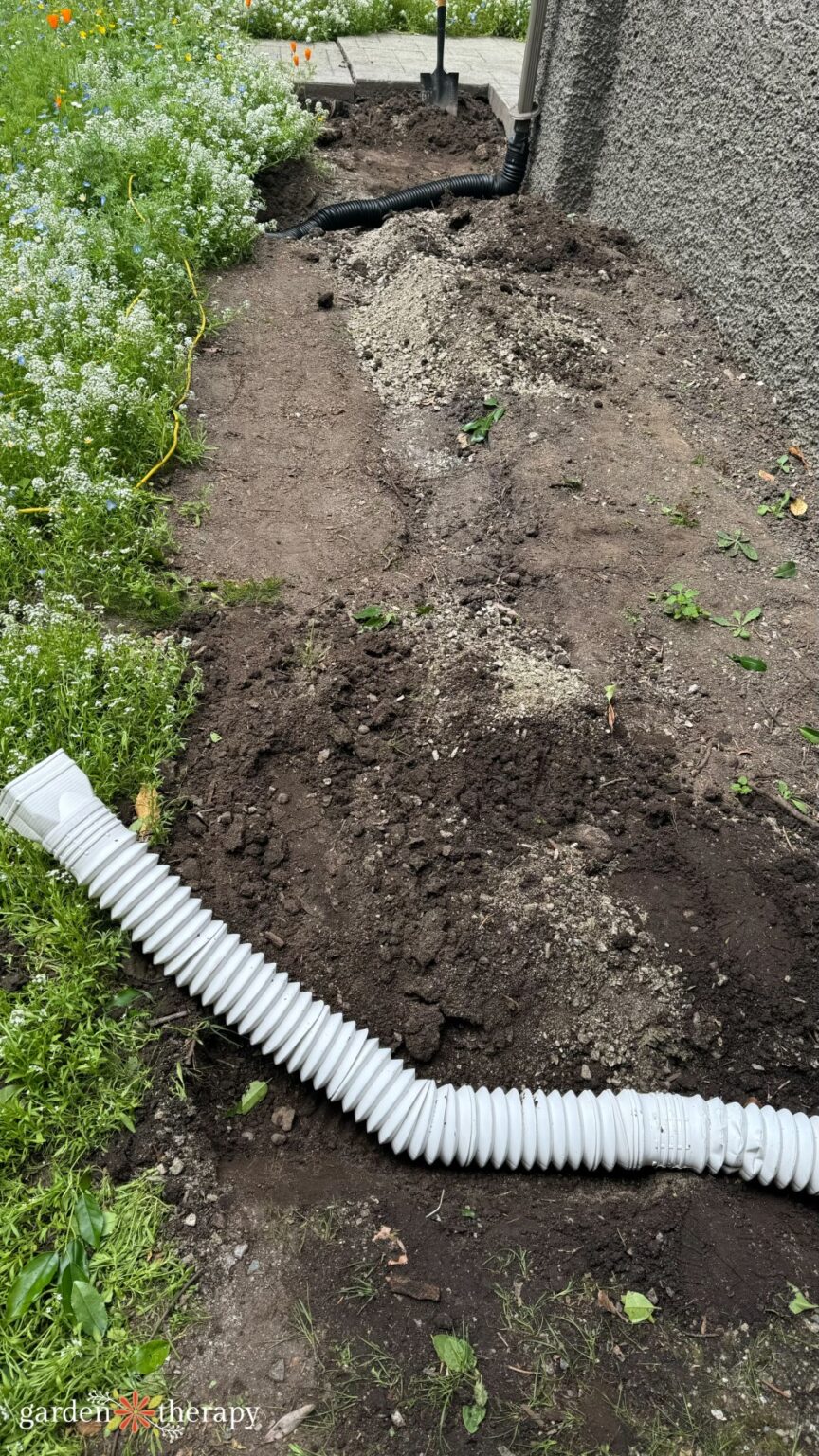 Design a Dry River Bed and Solve Your Drainage Problem - Garden Therapy