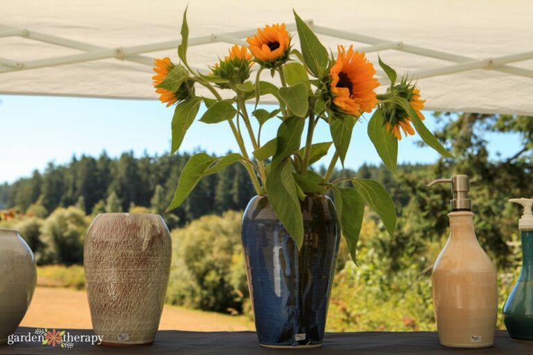 From Seed to Sunshine: How to Grow Sunflowers - Garden Therapy