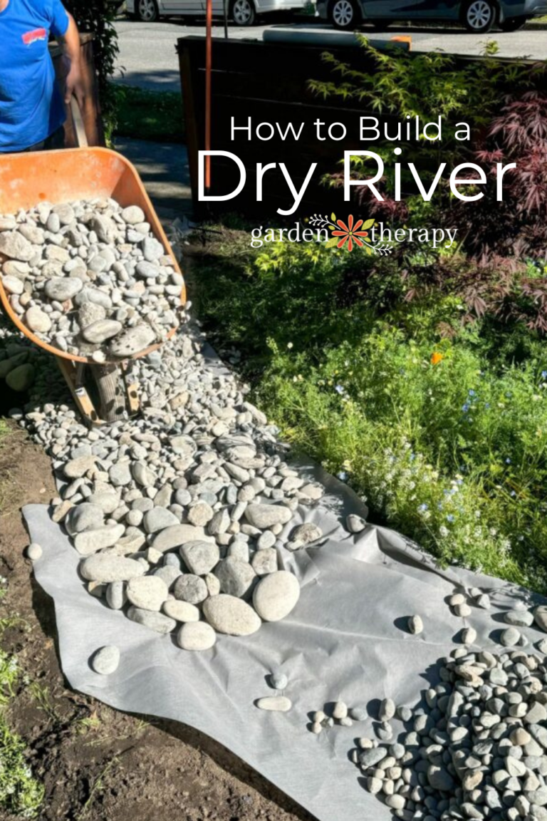 Design a Dry River Bed and Solve Your Drainage Problem - Garden Therapy