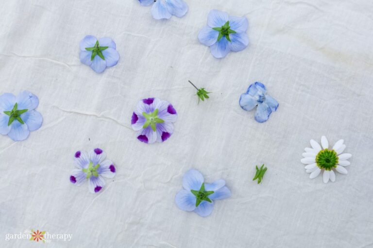 Eco-Printing: How to Hammer Flowers Onto Fabric - Garden Therapy