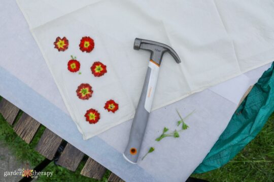 Eco-Printing: How to Hammer Flowers Onto Fabric - Garden Therapy