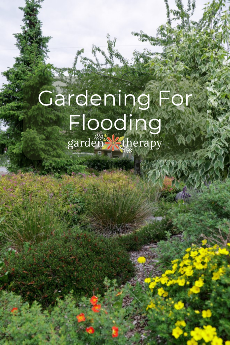 Climate Change and Flooding: How Your Garden Can Help - Garden Therapy