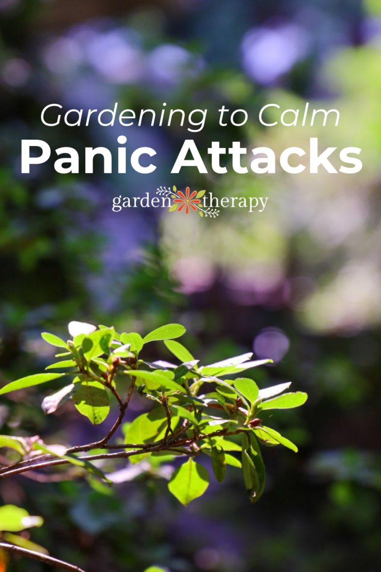 Plant Care for Emotional Care: Grounding Techniques for Anxiety