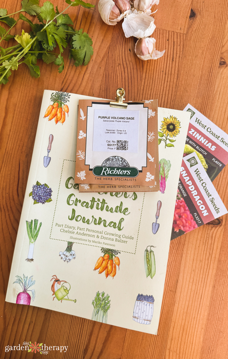 Overcoming Dopamine Addiction With Mindful Gardening - Garden Therapy