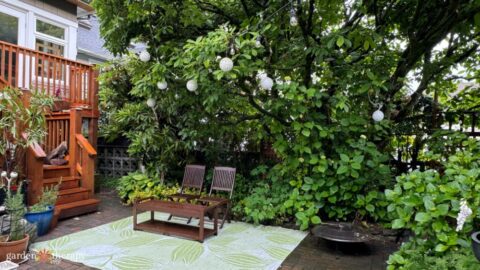 10 Stunning, Water-Wise Permeable Patio Ideas You’ll Love - Garden Therapy