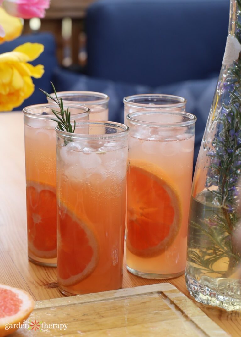 Host a Spring Flower Bulb Planting Party - Garden Therapy