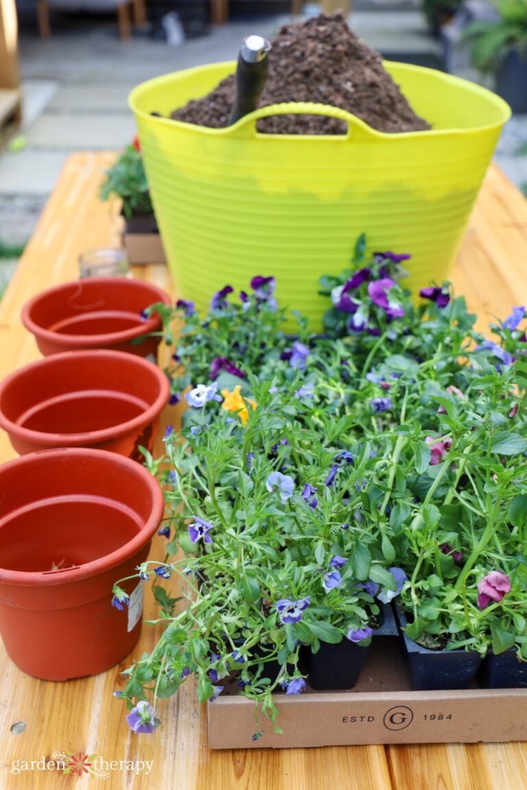 Host a Spring Flower Bulb Planting Party - Garden Therapy