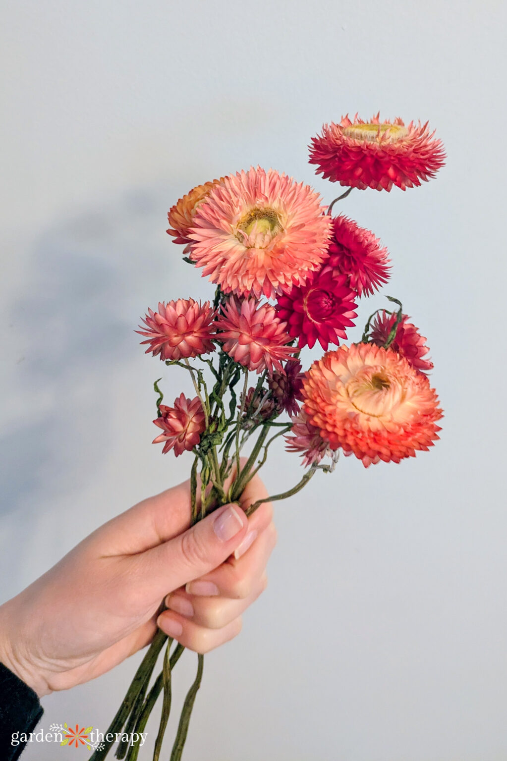 How to Dry and Preserve Flowers, Leaves, and Pods for Crafting